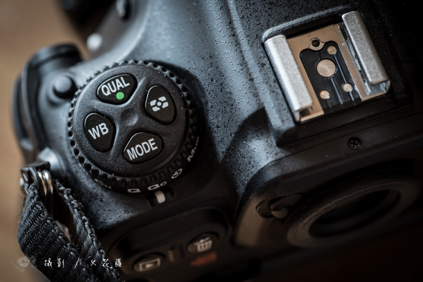 【D500】性能與輕鬆，全面通吃 ;Nikon NikonD500