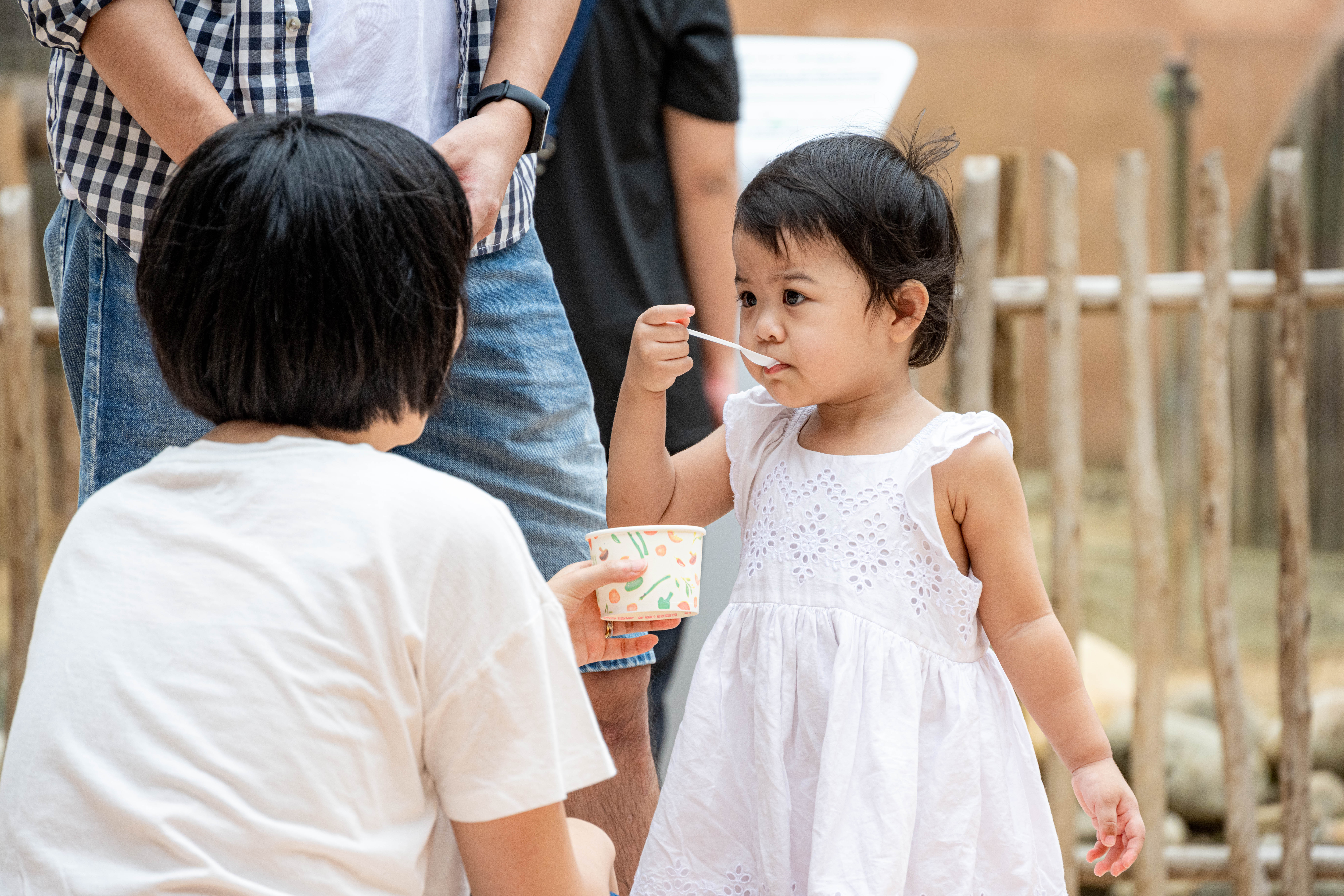 旅遊鏡的「輕」選擇，NIKKOR Z 24-200MM F/4–6.3 VR ;Nikon NIKKOR Z 24-200MM F/4-6.3 VR